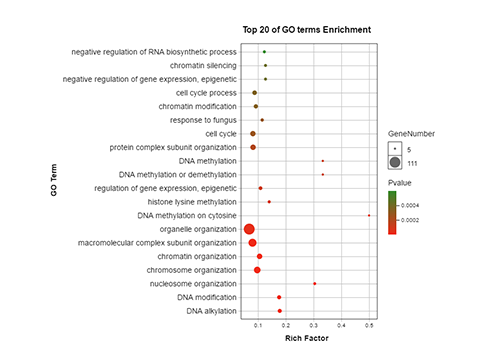 Omicsmart-账户总览