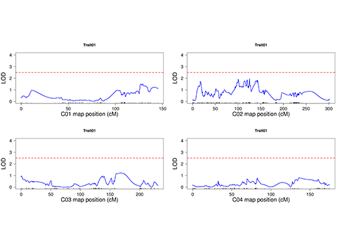 Omicsmart-账户总览
