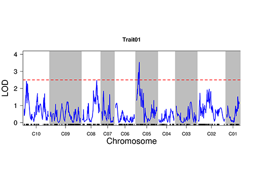 Omicsmart-账户总览